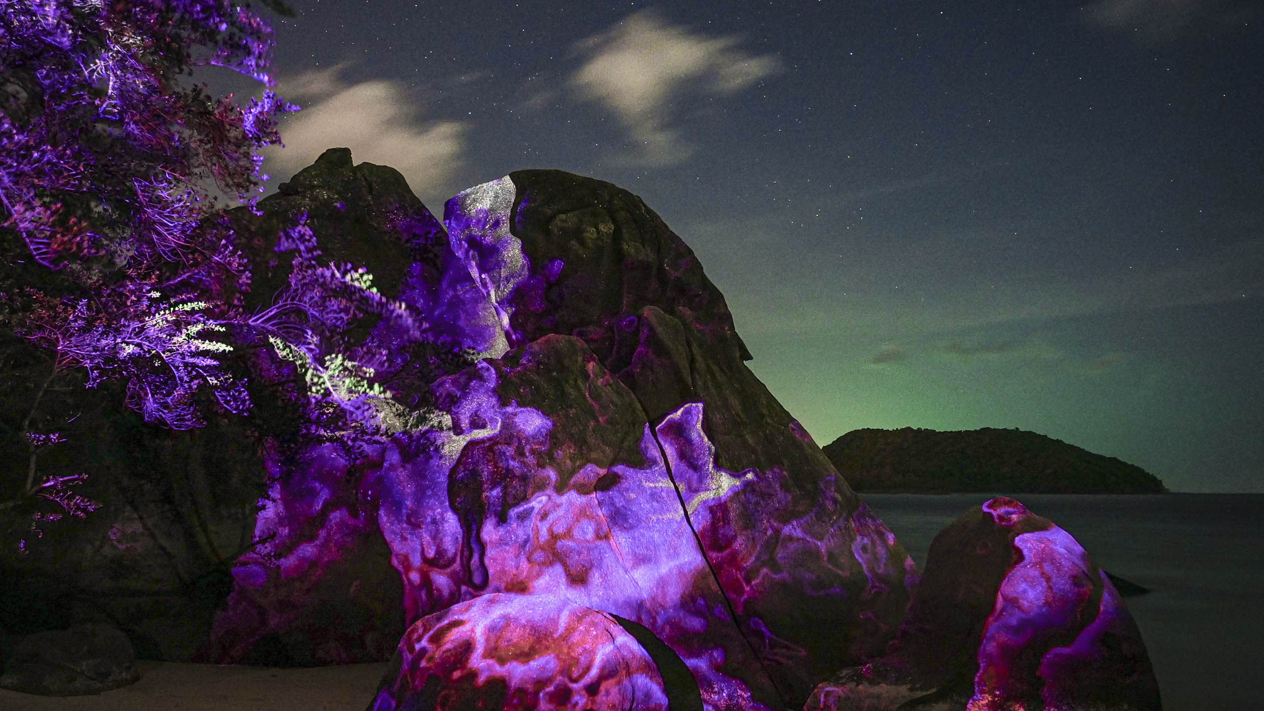 Nature Light Installation - Philipp Frank