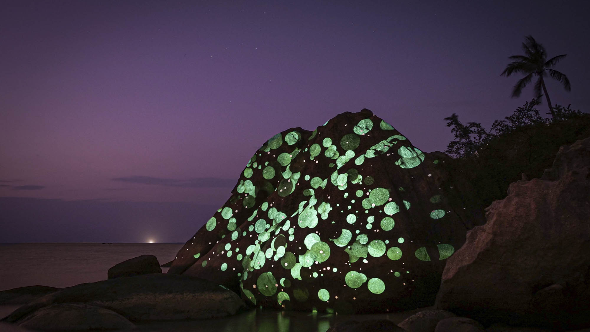 Nature Light Installation - Philipp Frank